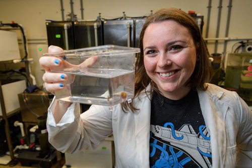 Skype A Scientist | UConn Magazine